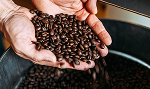 O JOYFUL COFFEE ROSTER | TOP